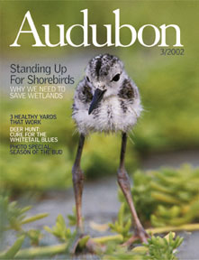 Support us – Charleston Natural History Society